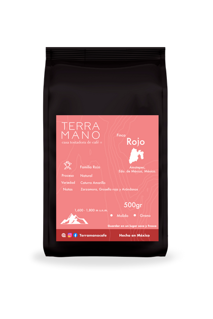 Café de Estado de México – Terra Mano Café