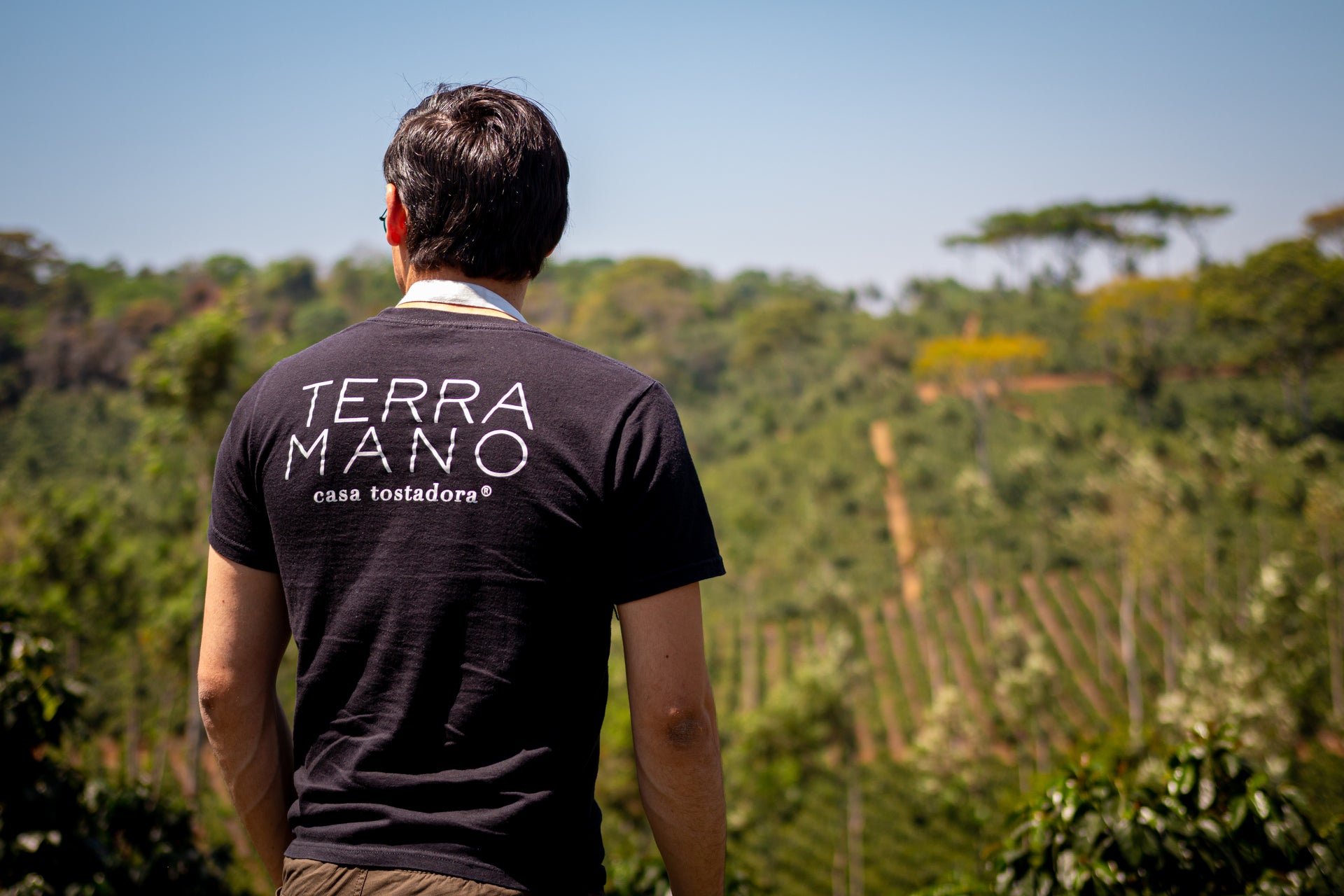 Terra Mano Casa Tostadora de Café de Especialidad – Terra Mano Café